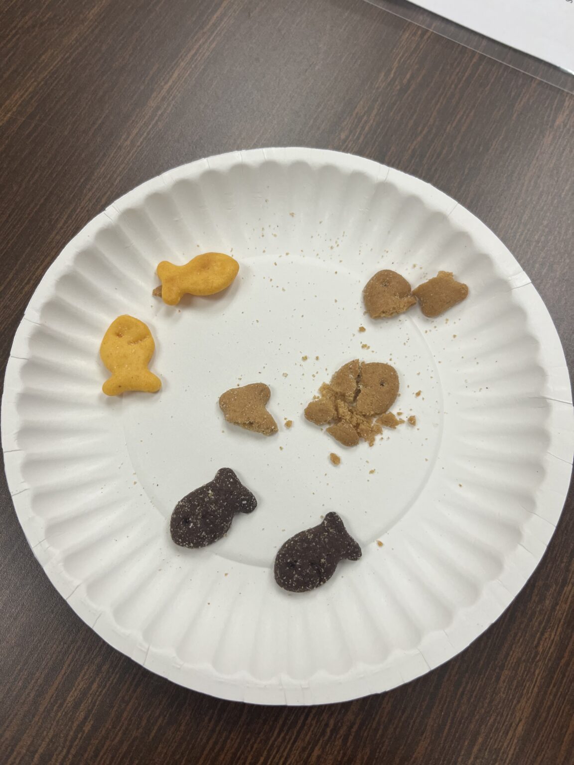 Autism: Sensory Processing Disorder/Differences - BG Barnstormer